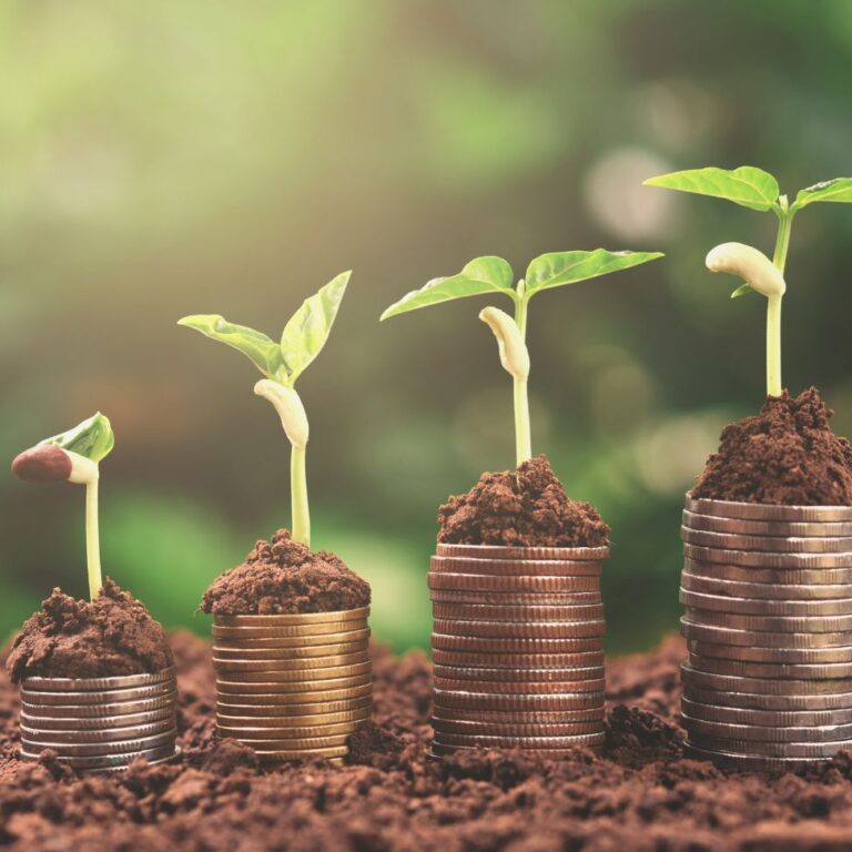 About – Seed Microfinance Institution S.C.